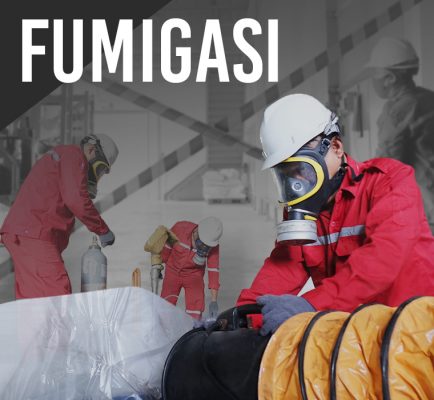 Fumindo | Jasa Fumigasi & Pengendalian Hama Profesional