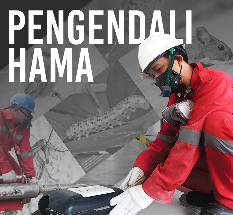 Fumindo | Jasa Fumigasi & Pengendalian Hama Profesional